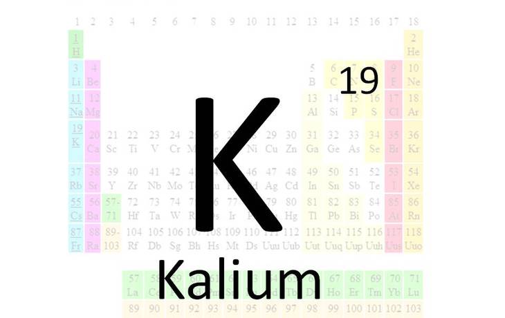 Czym leczyć hiperkaliemię ? - Artykuły - Biotechnologia.pl - łączymy wszystkie strony biobiznesu